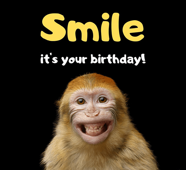 Compilation of Hilarious and Playful Birthday Greeting Memes