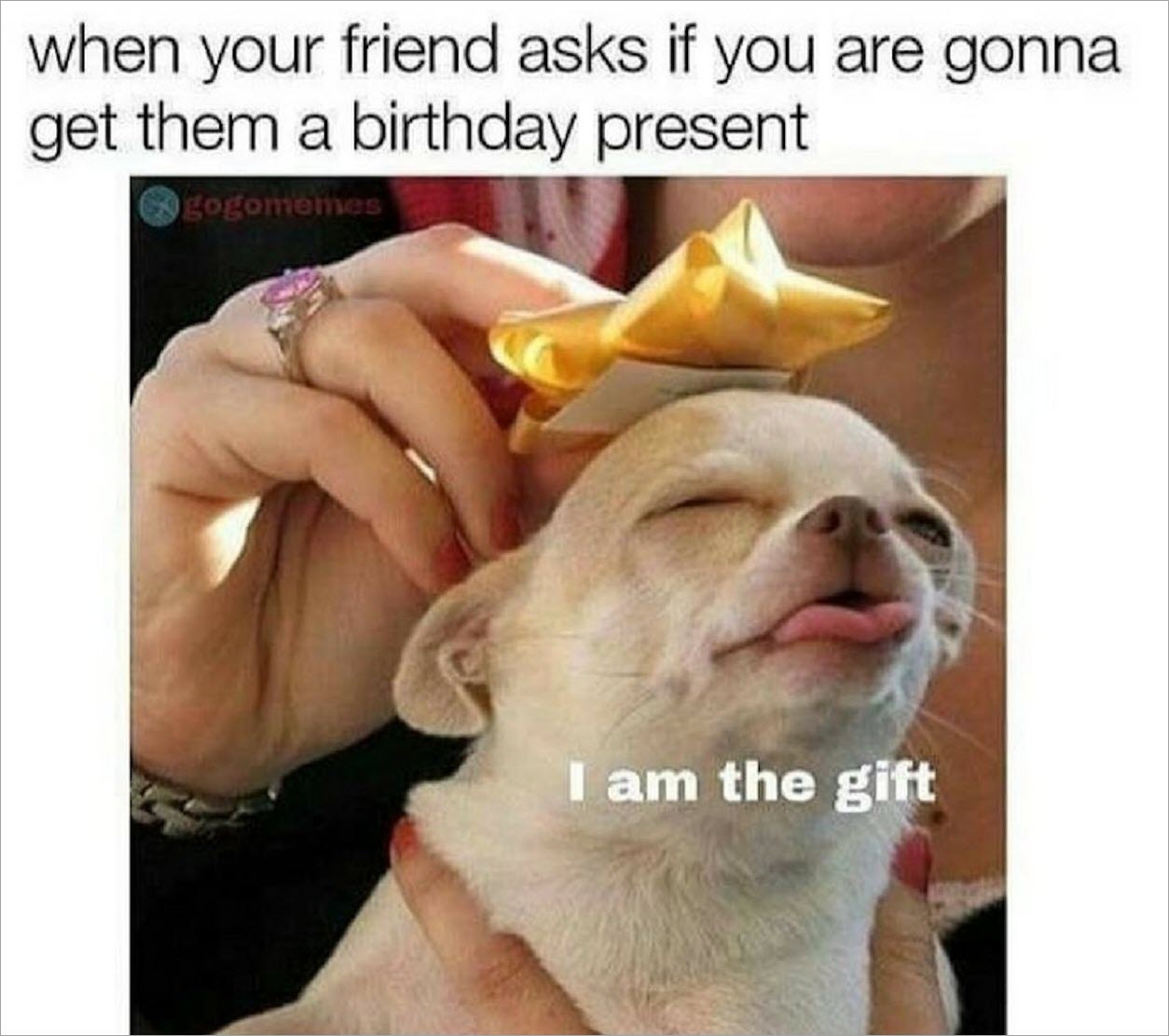 Compilation of Hilarious and Playful Birthday Greeting Memes