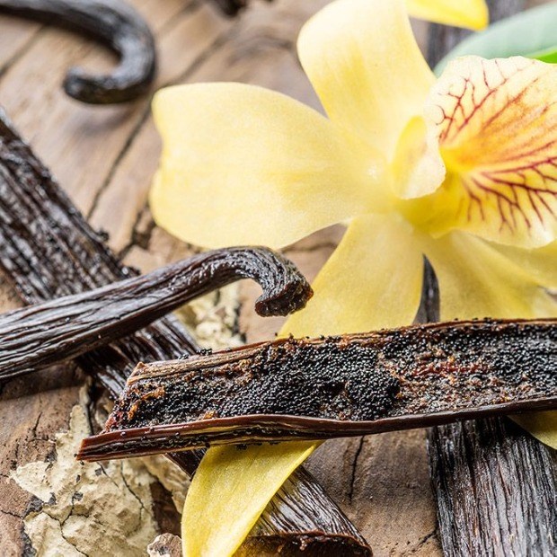 What is Vanilla? Its Uses and Preparation Methods - Mytour
