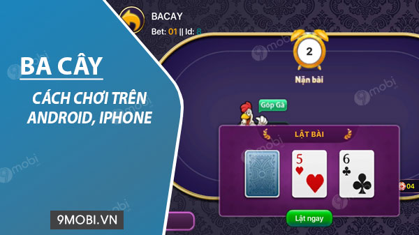 Mastering the Art of Playing Three Cards on Android and iOS Phones: The ...