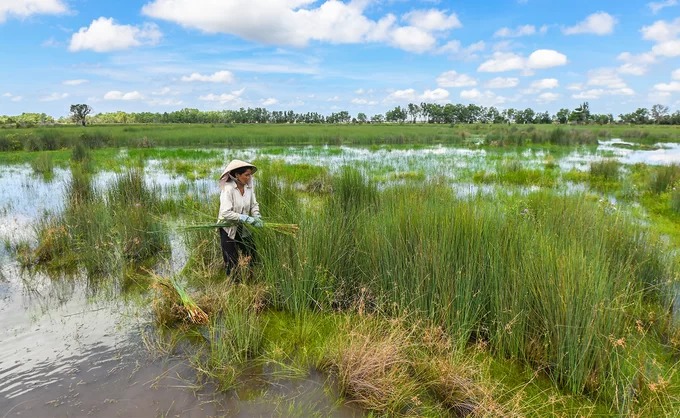 Handcrafted Reed Mat Village of the Khmer People - Mytour