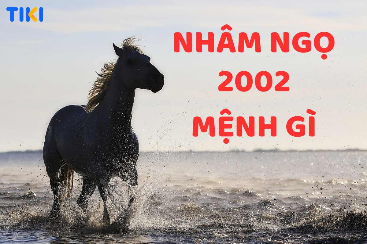 What destiny does Nhâm Ngọ 2002 hold? Which colors, ages, and ...