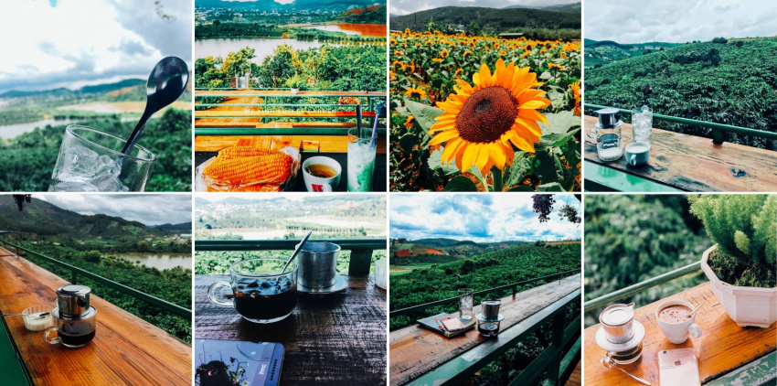 Explore the Top 10 Most Beautiful Cafes in Da Lat for Your Ultimate ...