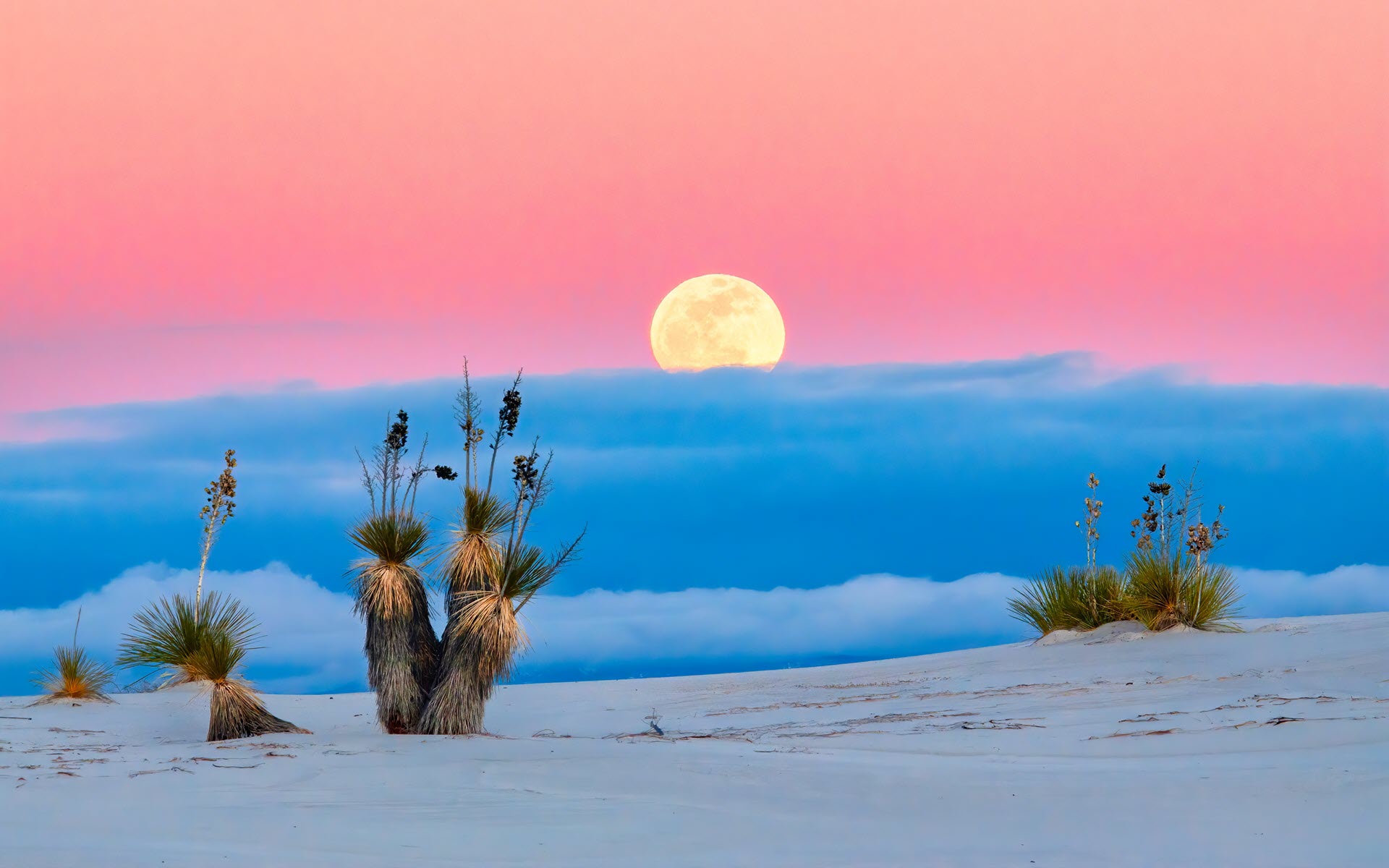 Discover Beautiful Windows 10 Wallpapers, The Finest Selection