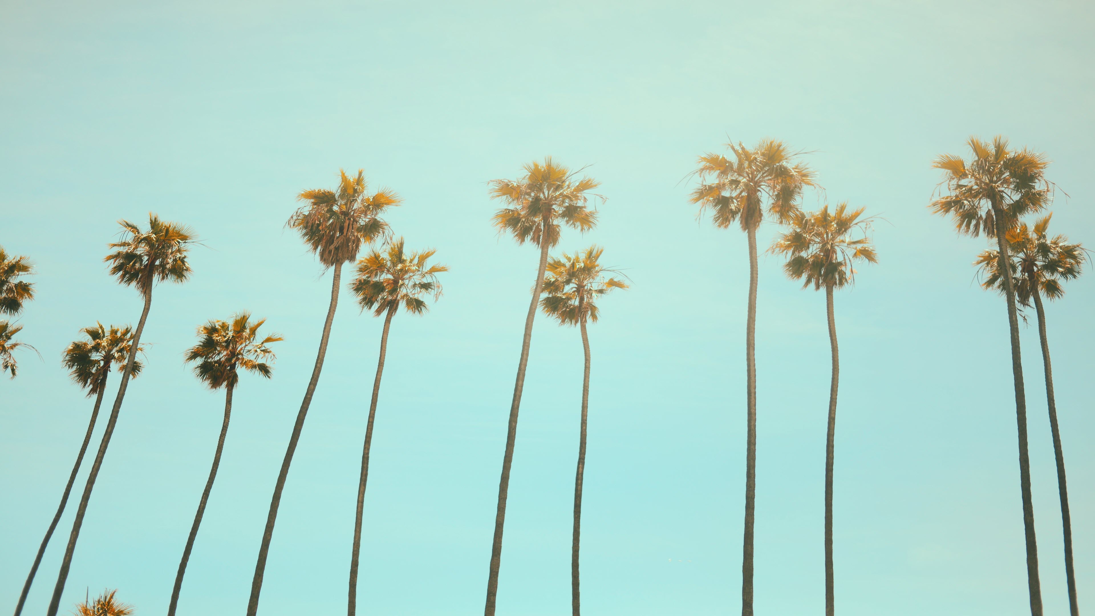 Discover Beautiful Windows 10 Wallpapers, The Finest Selection