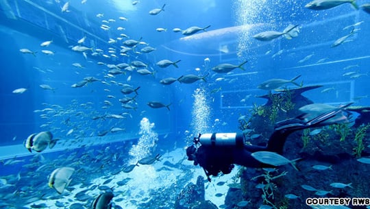 Singapore unveils the world's largest artificial ocean