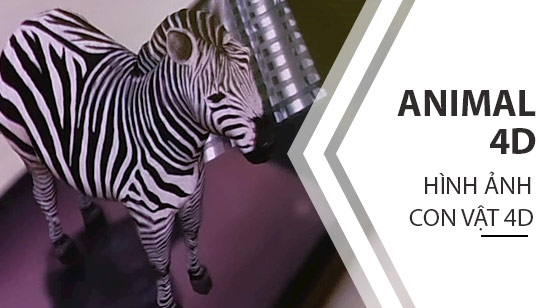 4D Animal Visuals for Animal 4D+