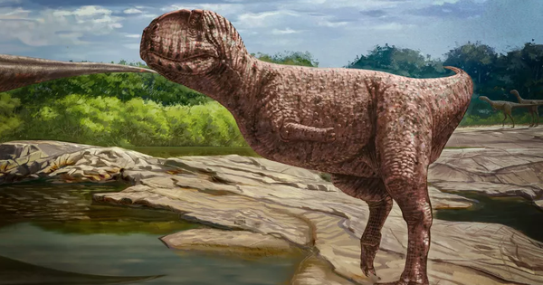 Discovery of a bull-faced dinosaur, resembling an upgraded version of ...