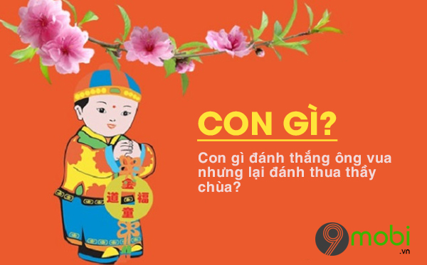 Best Tet Fun Riddles with Answers