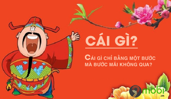 Best Tet Fun Riddles with Answers