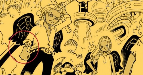 Is S-Hawk, a clone of Mihawk, endowed with Devil Fruit powers?