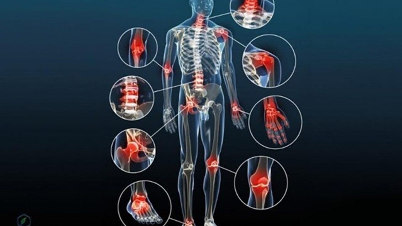 Explore the Top 10 Best-Selling Joint Support Supplements Today