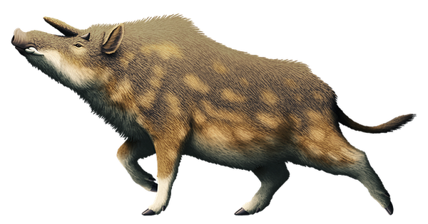 Kubanochoerus gigas: Sinh vật lợn cổ xưa với sừng độc đáo giống như kỳ ...