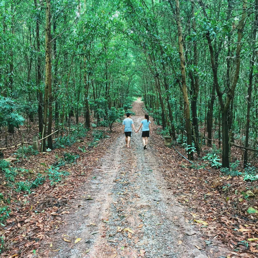 Dong Quan Lake - The Ideal Camping Destination for Exploring Hanoi - Mytour