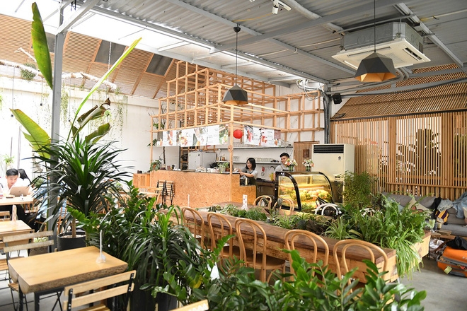 Review of Tropical Forest Coffee: A Refreshing Oasis - Mytour