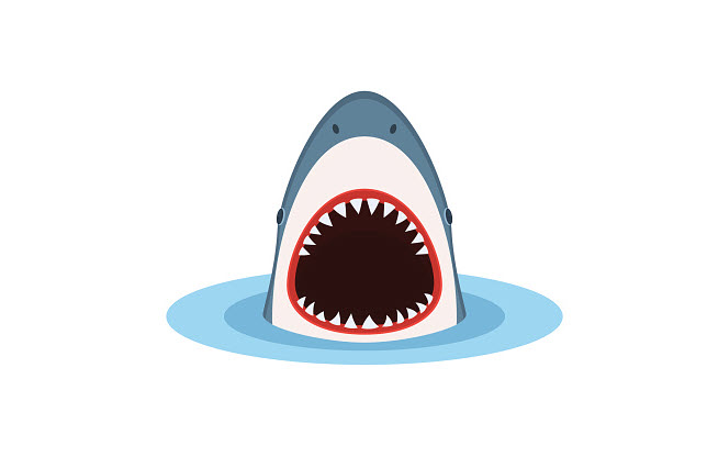 Chibi Sharks - The Most Adorable and Lovely Chibi Shark Images