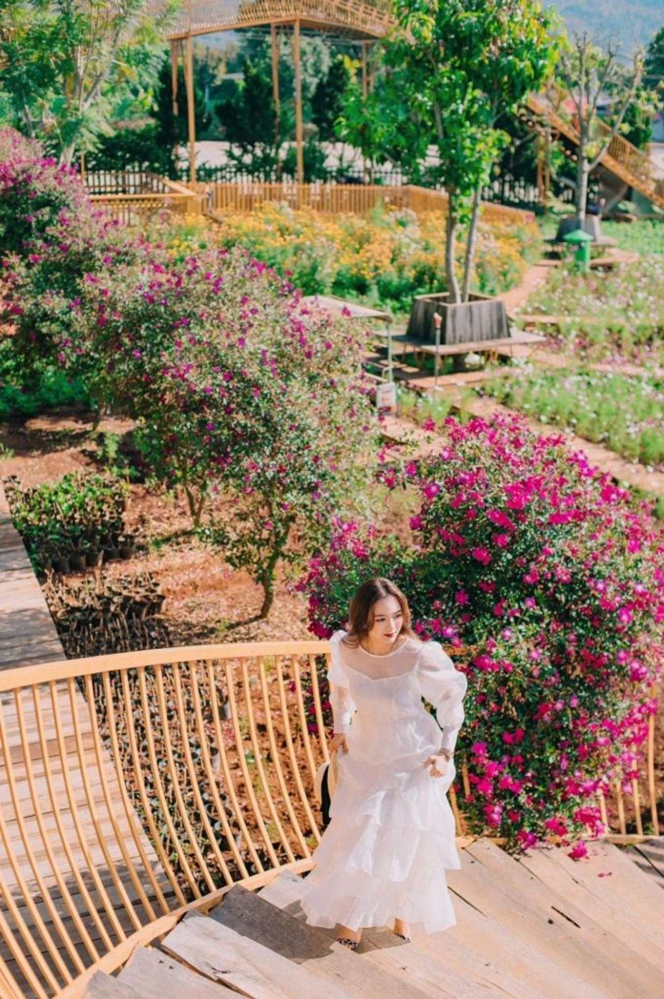 Mê Linh Coffee Garden Da Lat: A Coffee Haven with Breathtaking Views