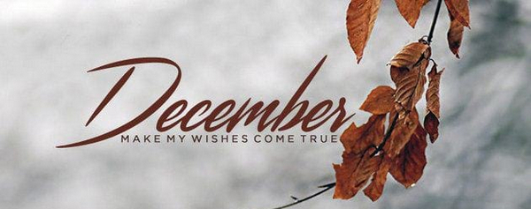 Beautiful, cute, melancholic, stylish, and meaningful high-quality ...