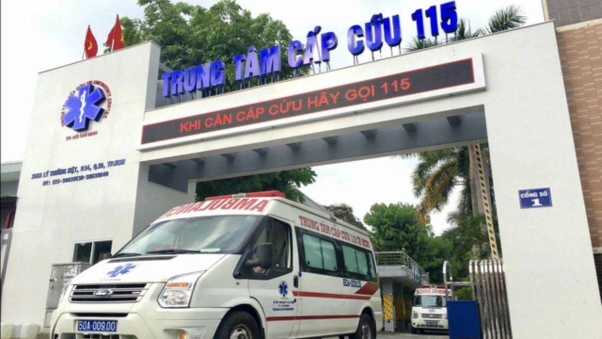 Unraveling the Mystery of 115 - What is this Emergency Hotline?