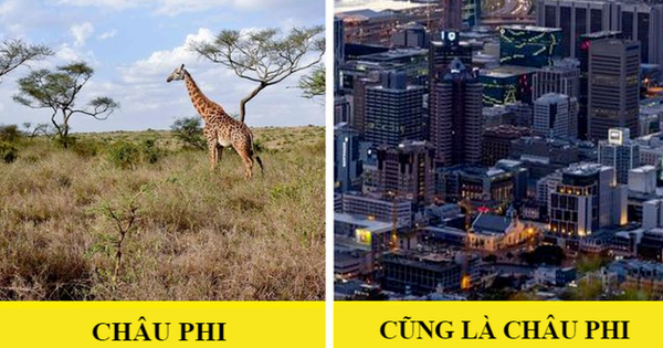 Seven common characteristics of countries worldwide