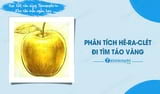 Analysis of Hercules' Quest for the Golden Apples (From Greek Mythology ...