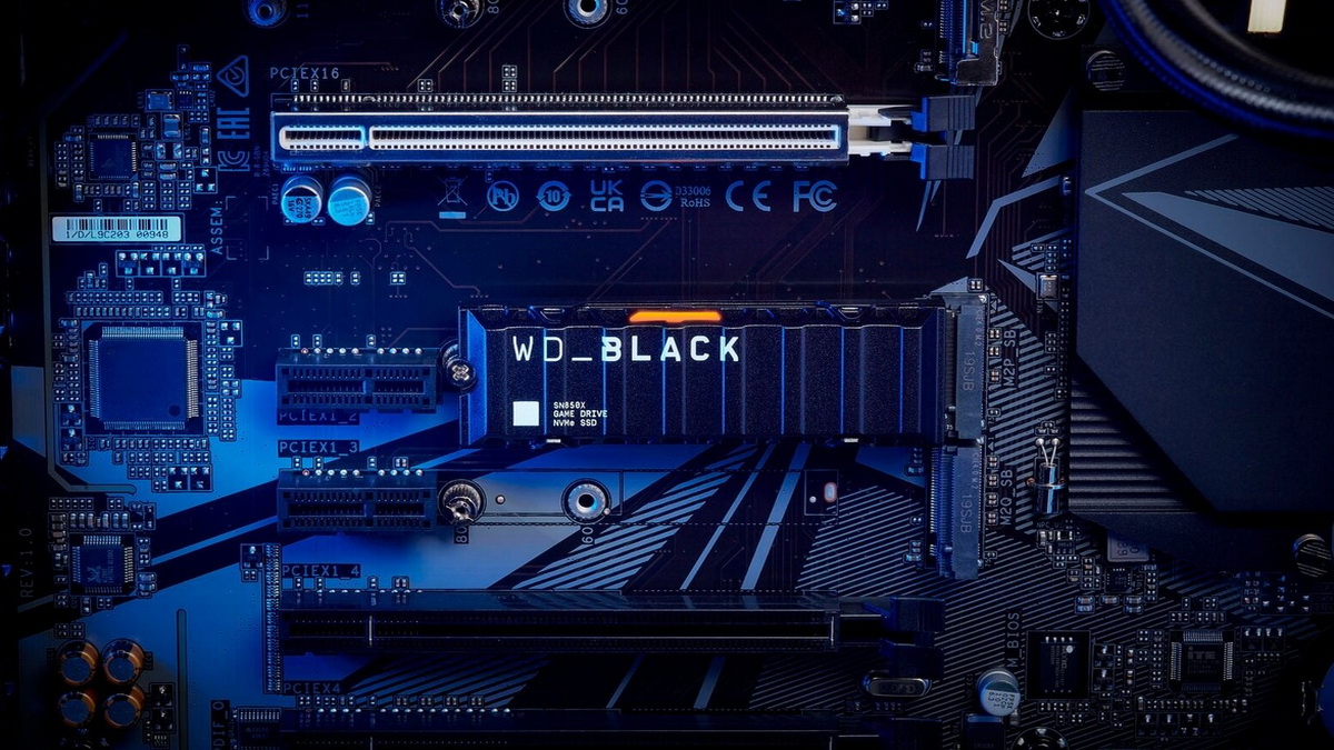 The Ultimate Guide to SSDs: Types and Differences Unveiled