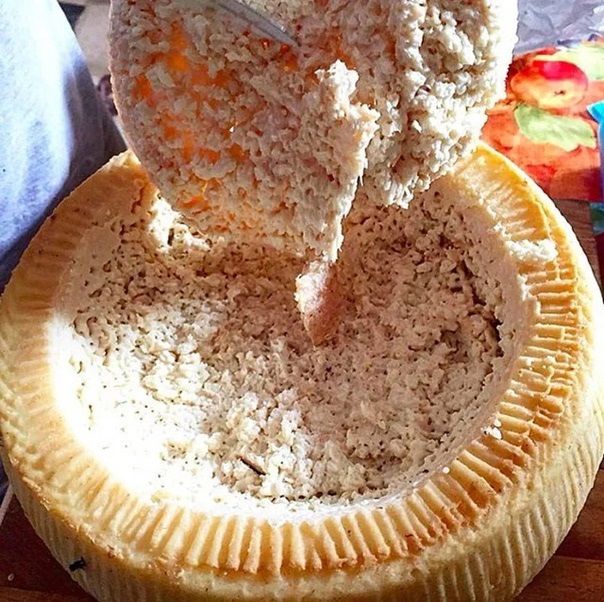 Top 10 Weirdest and Most Horrifying Foods in the World - Mytour.vn