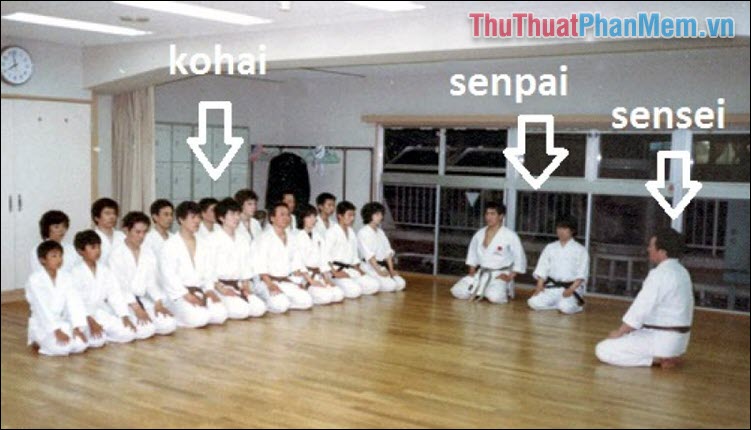 What does Sensei mean?