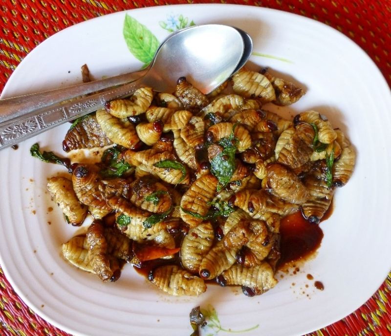 Top 10 Weirdest and Most Horrifying Foods in the World - Mytour.vn