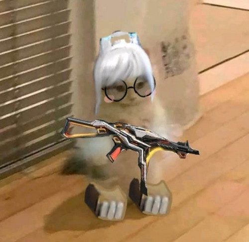 Cool, Cute, and Funny FF Cat Photo Collection