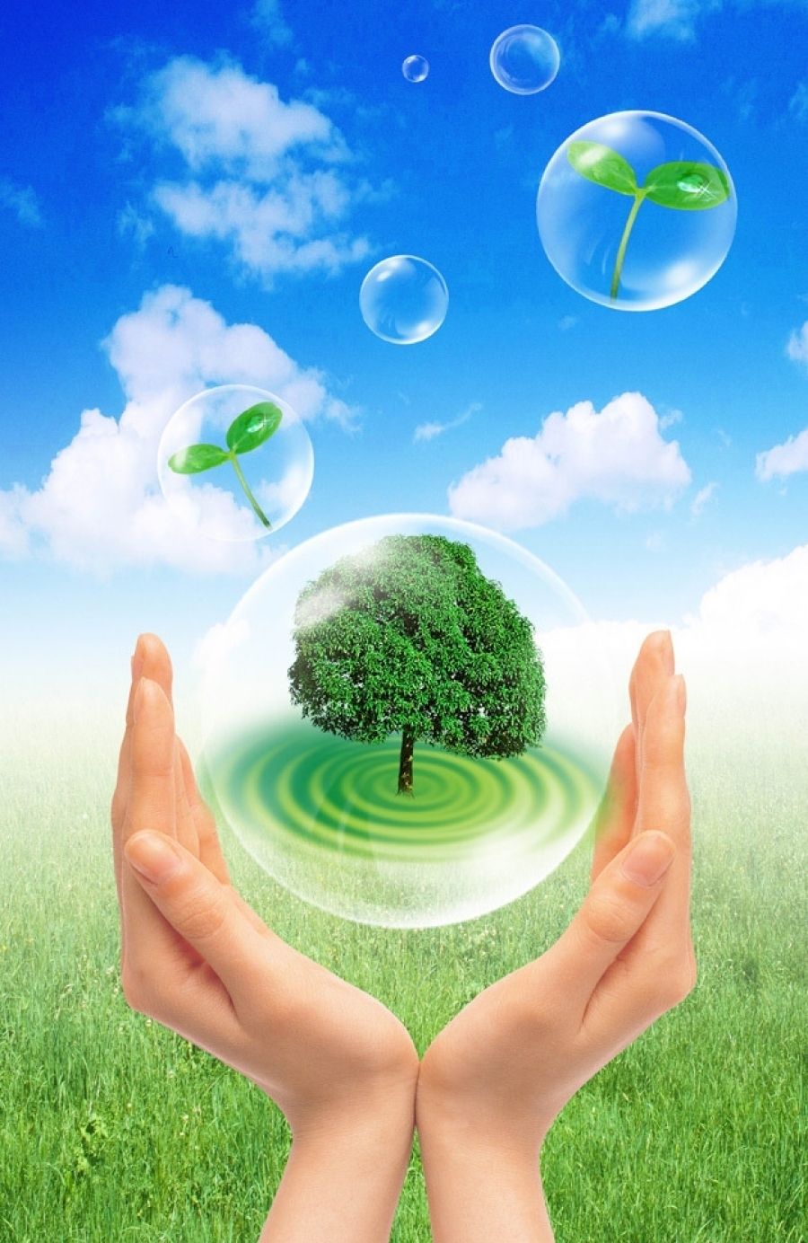 Beautiful Environmental Background