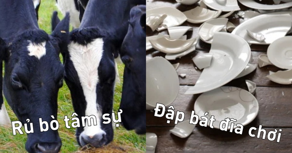 Unusual Ways to Celebrate Tet Worldwide: Plate Smashers and ...