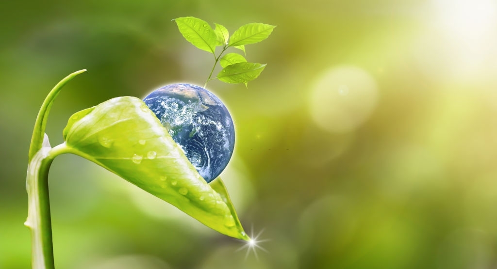 Beautiful Environmental Background