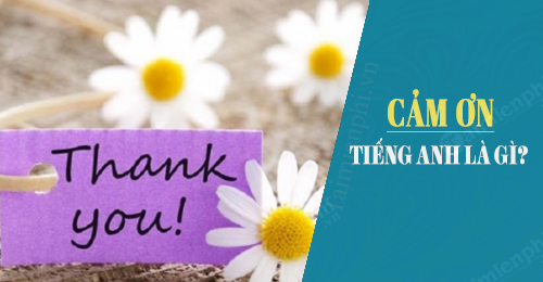 Different Ways to Express Gratitude in English: Thks, Thanks you