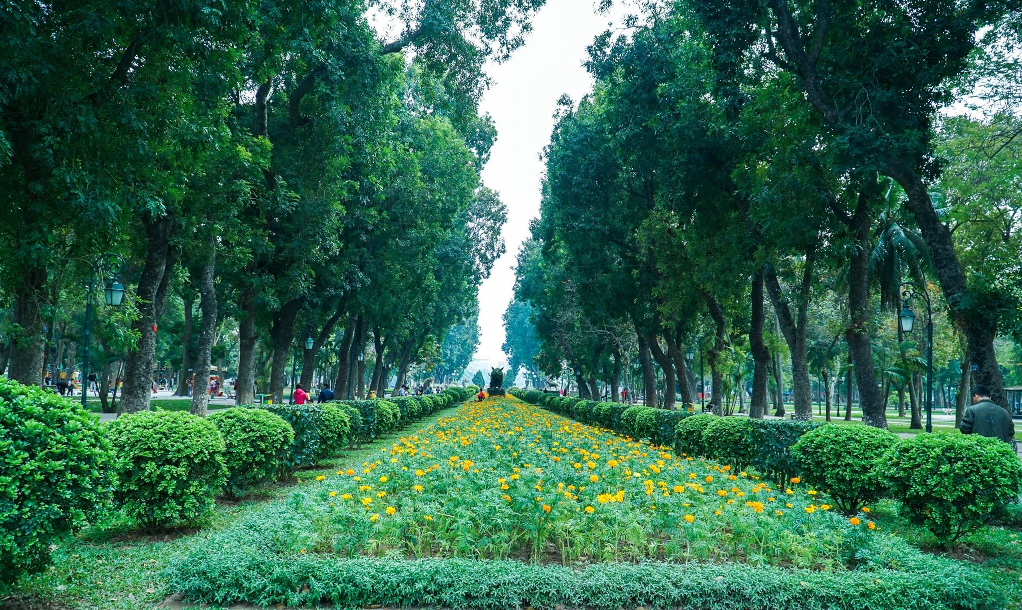 Beat the weekend heat with the top 5 refreshing parks in Hanoi