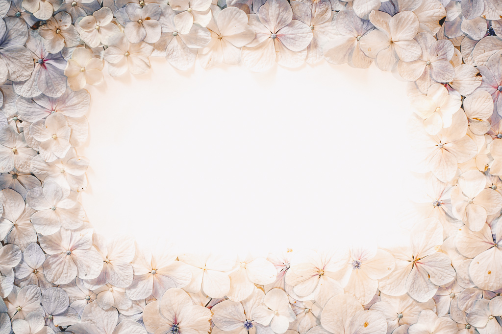 Beautiful Flower Backgrounds for Photoshop