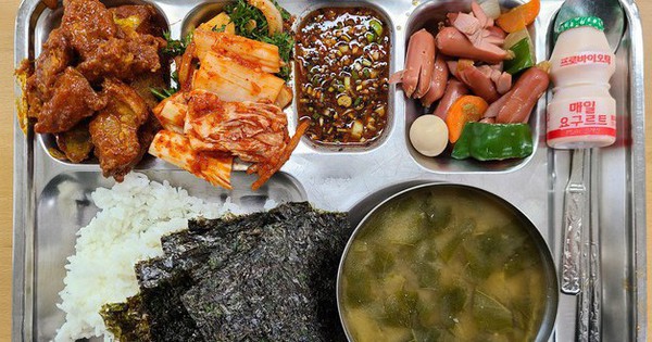 Exploring the Unique School Lunches Worldwide