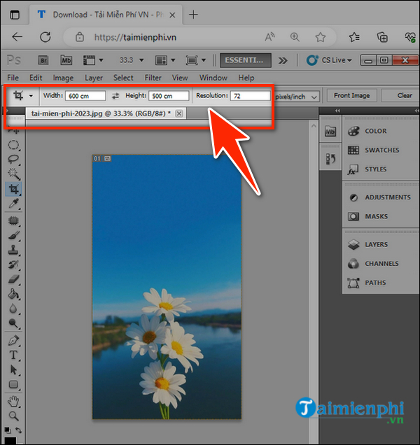 Changing Image Size: Resizing Images on Computer or Laptop