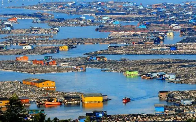 Tam Do Village Floating on the Sea in China - Mytour