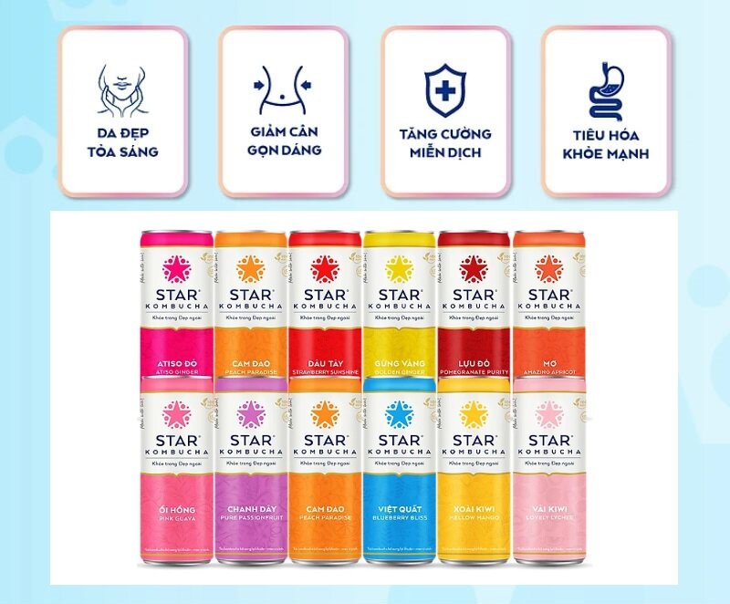 Kombucha Star được đóng gói dưới dạng lon 250ml, lốc 6 lon và thùng nhỏ ...
