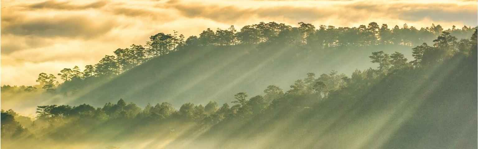 Experience the refreshing allure of Da Lat Nature Camp: A must-visit ...