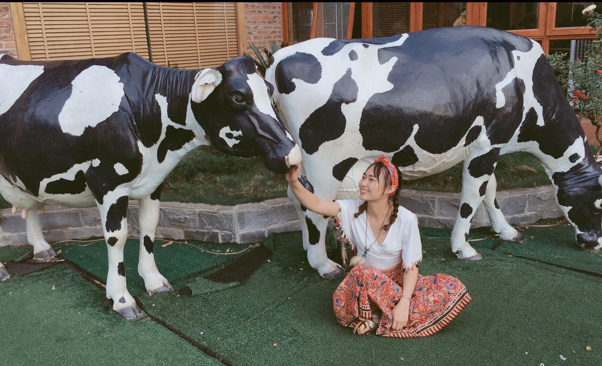 Experience a day as a farmer at the hottest Dairy Farm in Moc Chau - Mytour