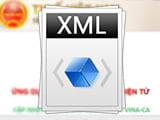 How to Read XML Tax Report Files with iTaxViewer