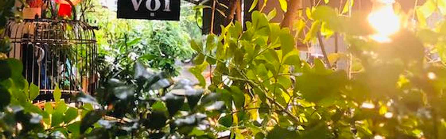 Top 5 Coolest Acoustic Cafes in Phu Nhuan for Your Weekend