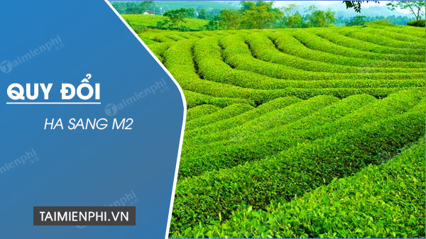 How many square meters is 1 Ha? Converting hectare to square meters ...