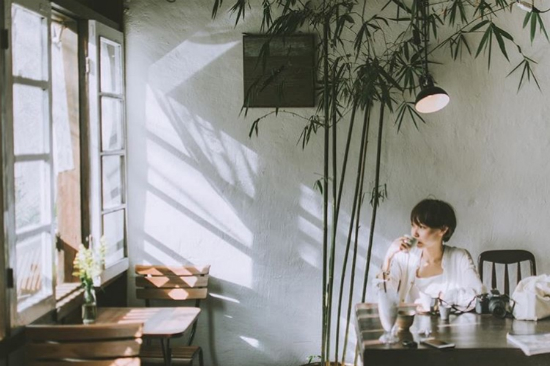 Explore the Latest Hip Cafés Drawing Crowds in Da Lat