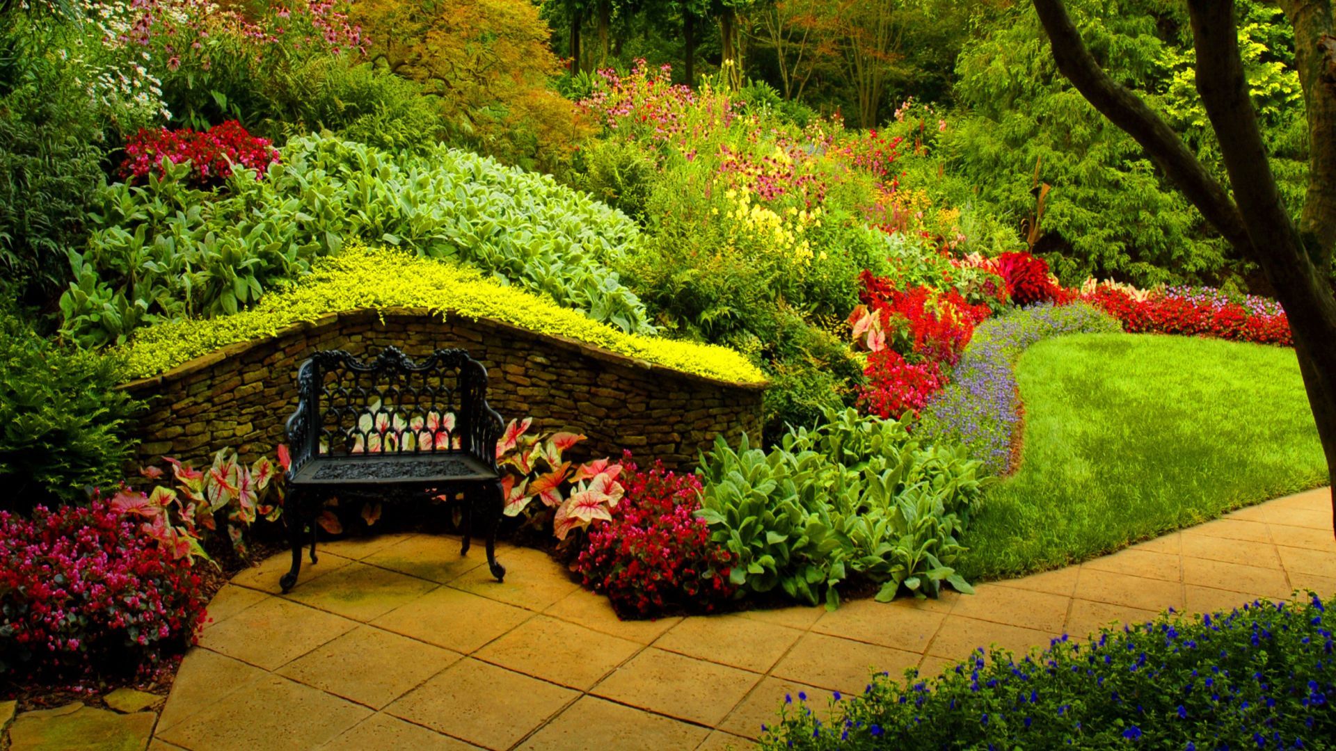 Beautiful Garden Background