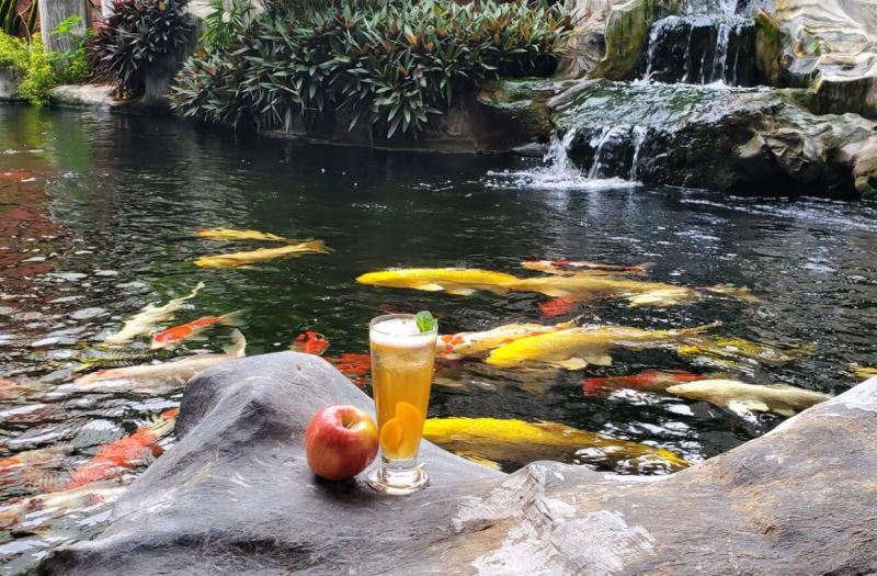 Top 5 Most Beautiful Koi Fish Cafes in Hanoi - Mytour.vn
