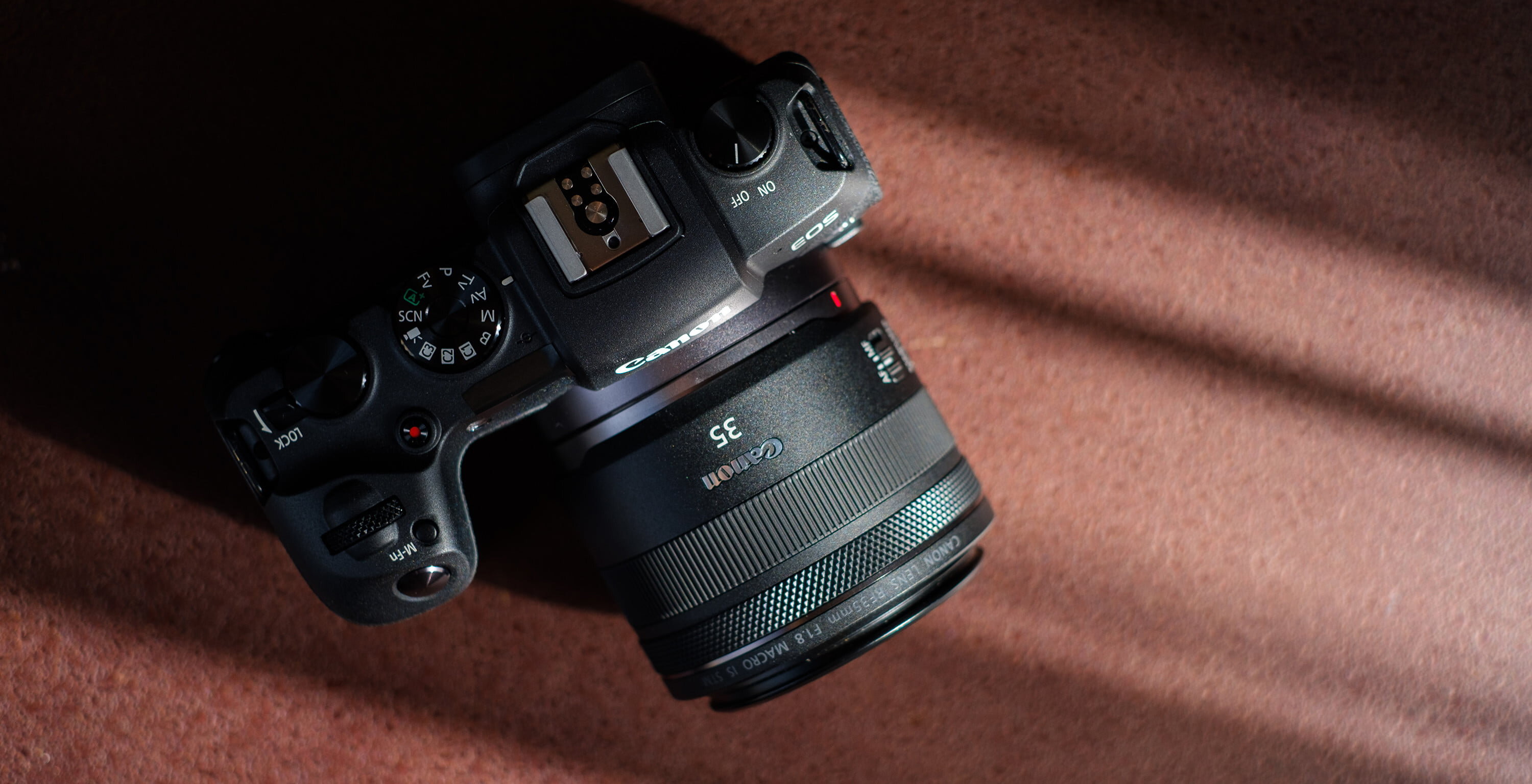 Discover the Top 6 Canon Cameras specialized in capturing sharp images ...