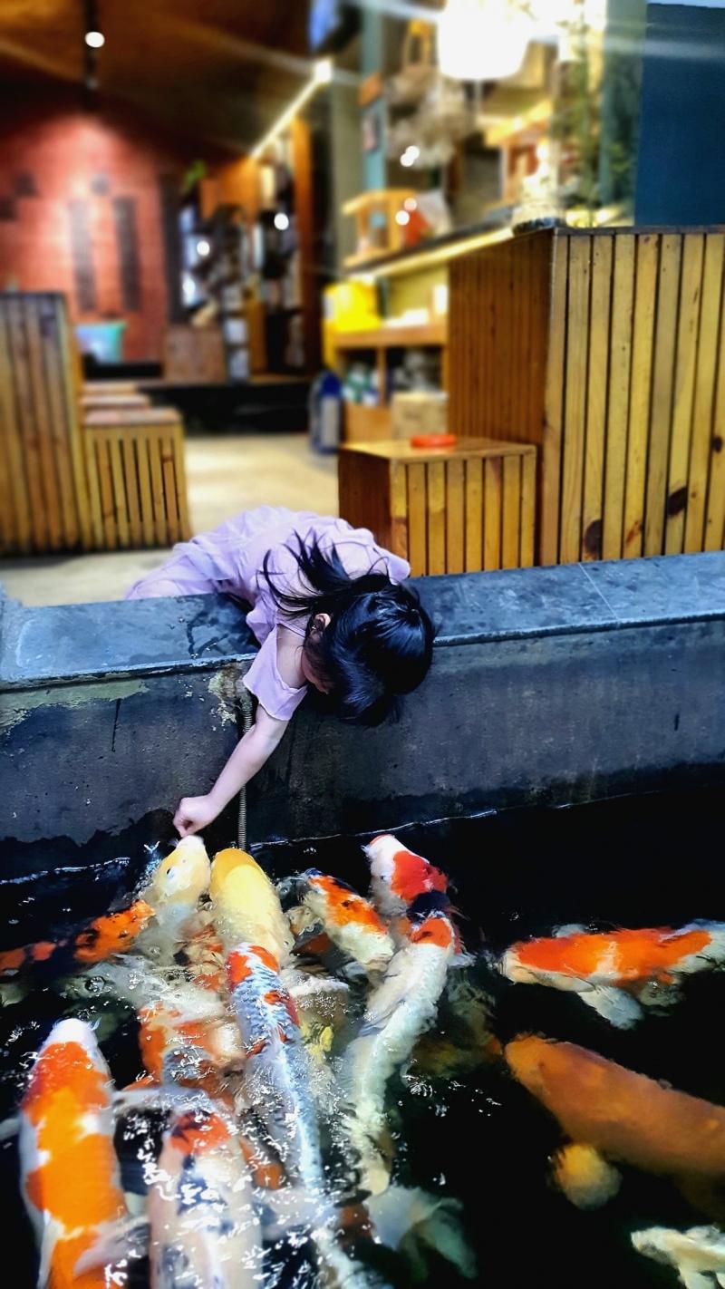 Top 5 Most Beautiful Koi Fish Cafes in Hanoi - Mytour.vn